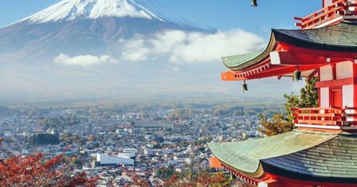 Från Tokyo: Privat tur till Fuji – anpassningsbar dagsutflykt ...