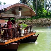 From Cebu: Bohol Countryside Exclusive Tour | GetYourGuide