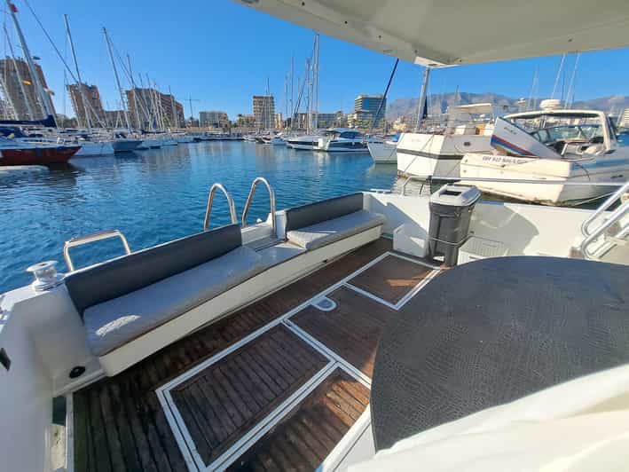 Fuengirola: Dolphin Spotting Tour | GetYourGuide