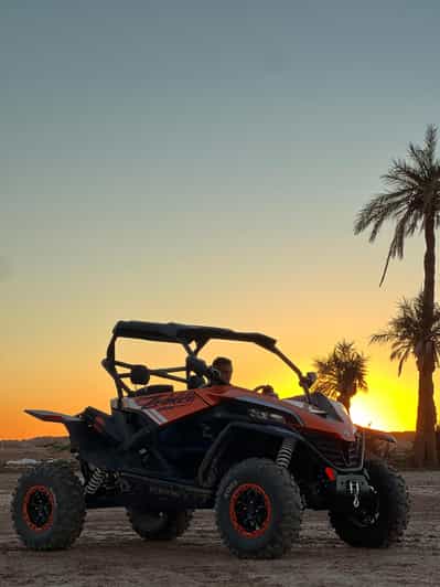 Marrakech: Tour Buggy 1000cc at the Sunset in palm grove | GetYourGuide