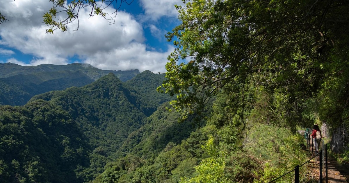 MADEIRA INSELWANDERUNG - VERSTECKTE ECKEN KÖNIGE LEVADA | GetYourGuide