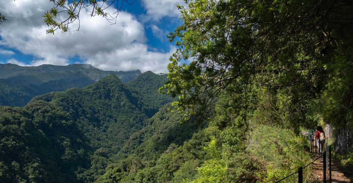 MADEIRA ISLAND WALK - HIDDEN CORNERS KINGS LEVADA | GetYourGuide
