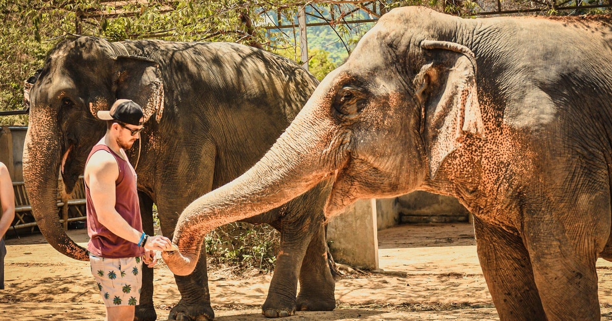 From Delhi: Taj Mahal Sunrise Tour with Elephant SOS Centre | GetYourGuide