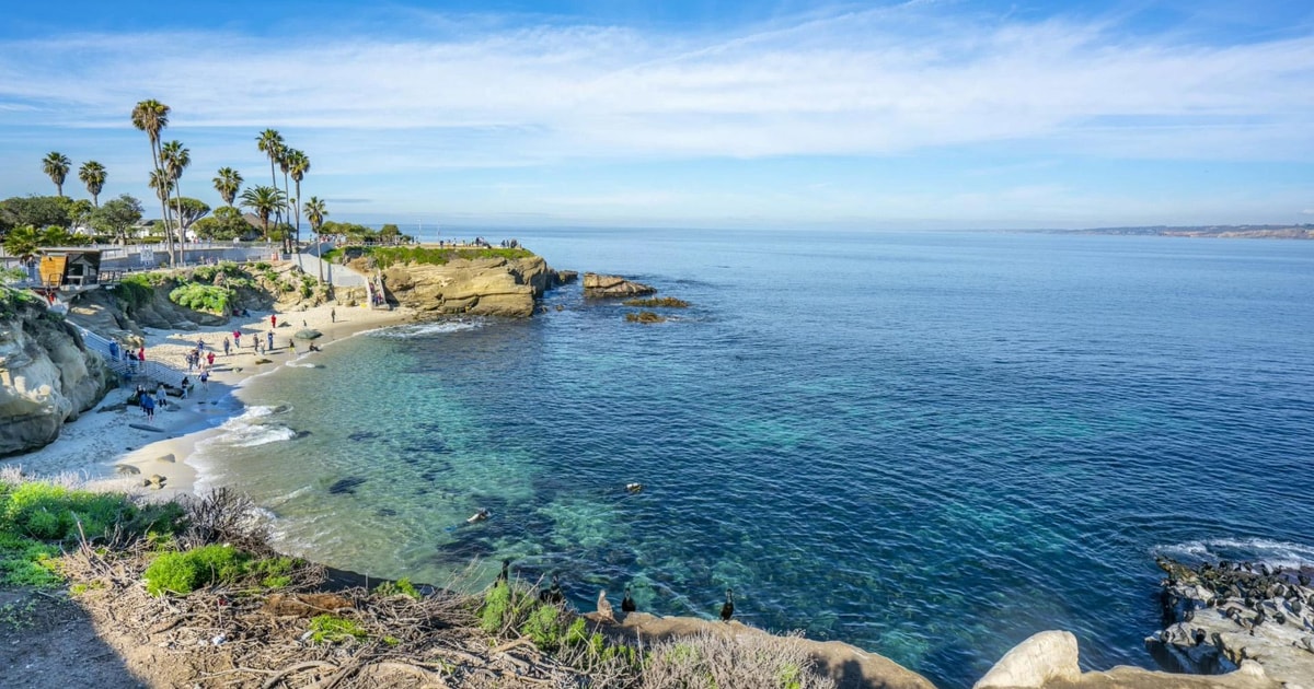 La Jolla: Día completo de alquiler de equipo de snorkel con opción de ...
