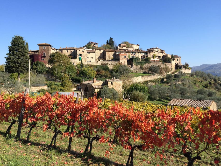 2 wineries Chianti Wine Tasting Private Tour | GetYourGuide