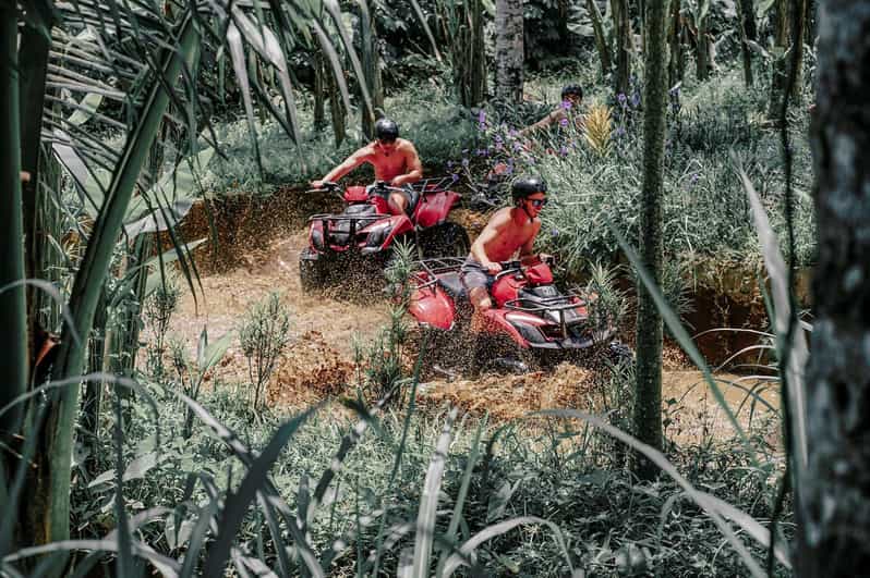 Ubud: Gorilla Cave ATV Quad Bike Adventure with Lunch | GetYourGuide