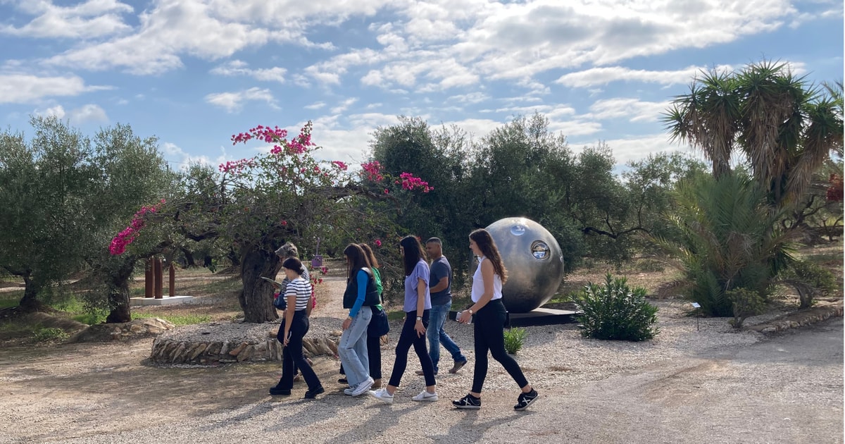 Arte-Contemporary: Tour guiado de Arte Contemporáneo entre olivos ...