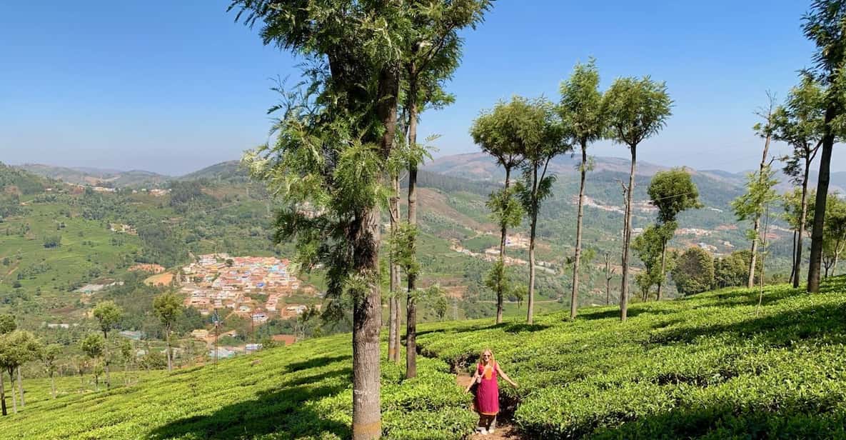 OOTY Day Tour | GetYourGuide