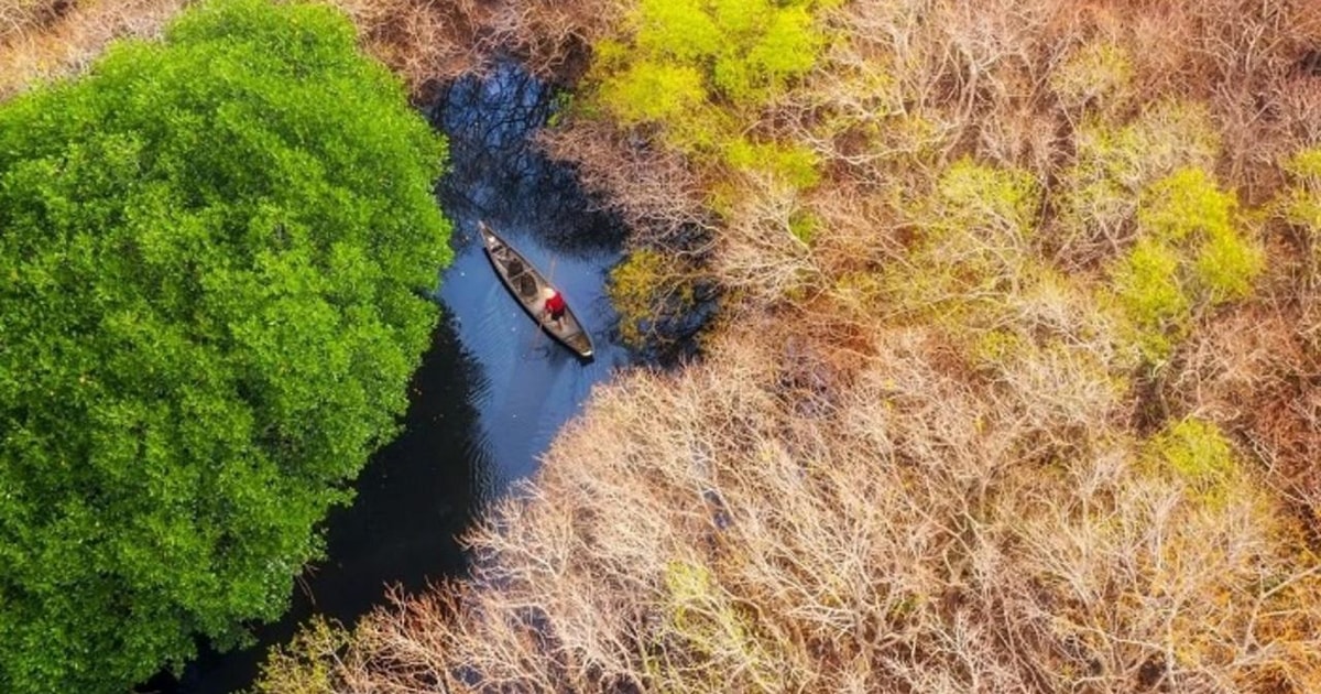 Hue: Hue 1/2 Day Tour: Ru Cha Forest - Tam Giang Lagoon | GetYourGuide