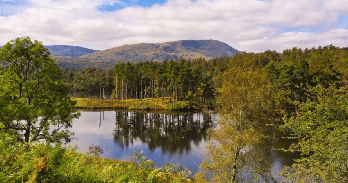 Au départ de Manchester : Lake District avec croisière sur le lac et ...