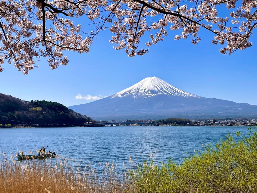 Zona del monte Fuji, excursión de 1 día en coche privado (excursión con ...