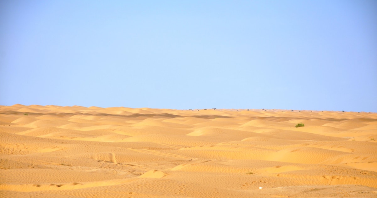Djerba : visit an oasis and hot water spring in the desert | GetYourGuide