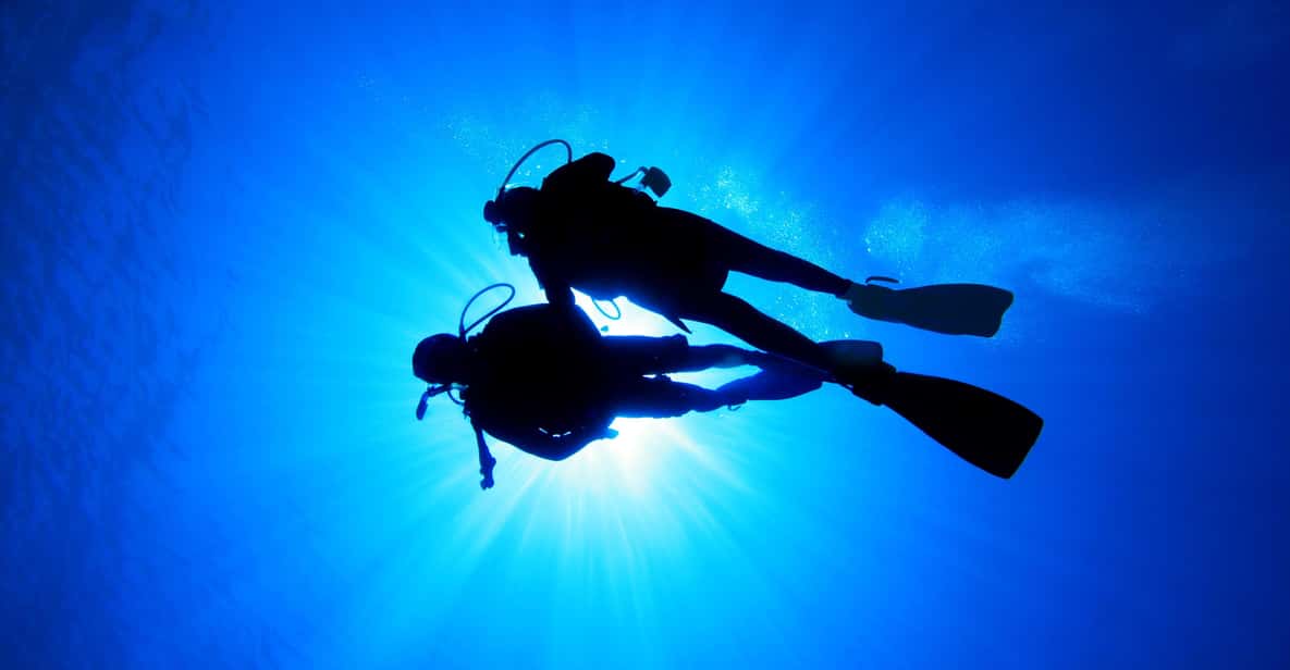 Kauai: Morning 2 Tank Boat Dive for Experienced Divers | GetYourGuide