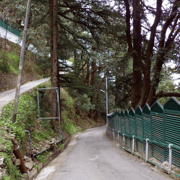 Manali Nature Walk (3 Hours Guided Trekking Experience) | GetYourGuide