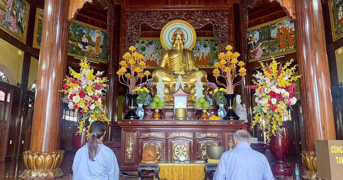 Ho Chi Minh City - Half-day Mindfulness meditation retreat | GetYourGuide