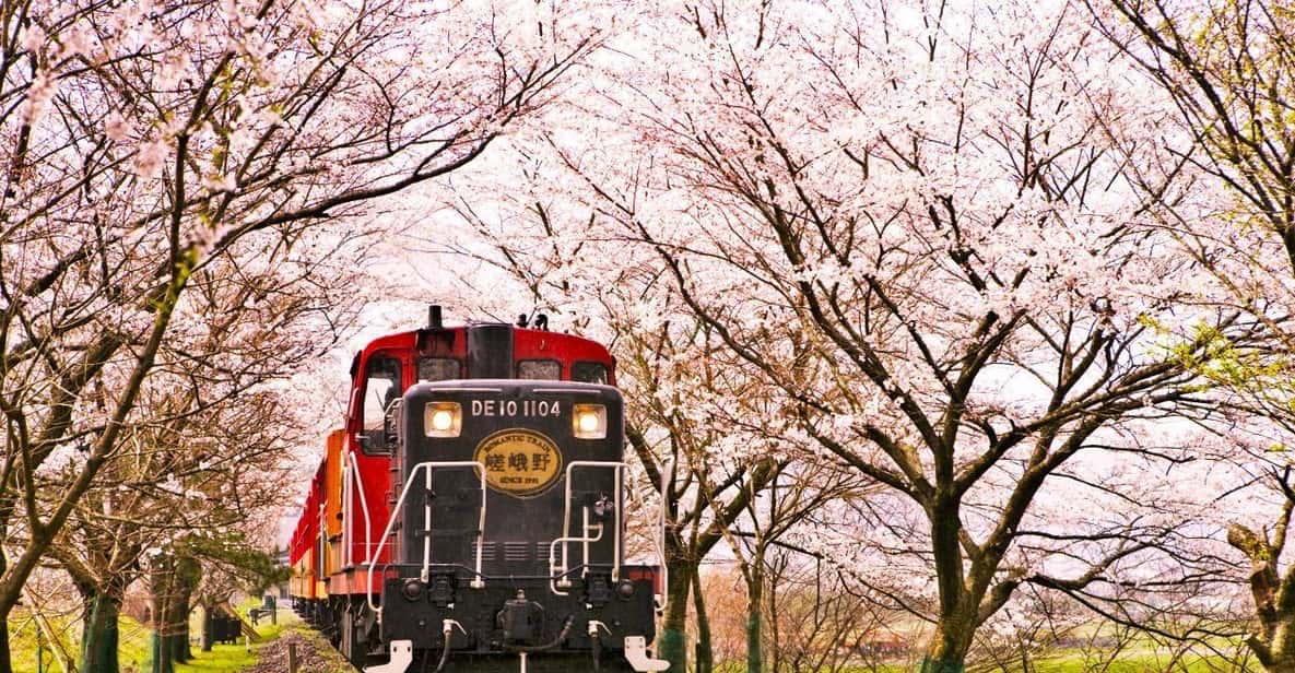 Kyoto: Sanzen-in Temple, Arashiyama's Scenic UNESCO day tour | GetYourGuide