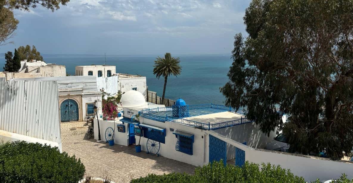 Private Day medina of Tunis Carthage Sidi Bousaid with lunch | GetYourGuide