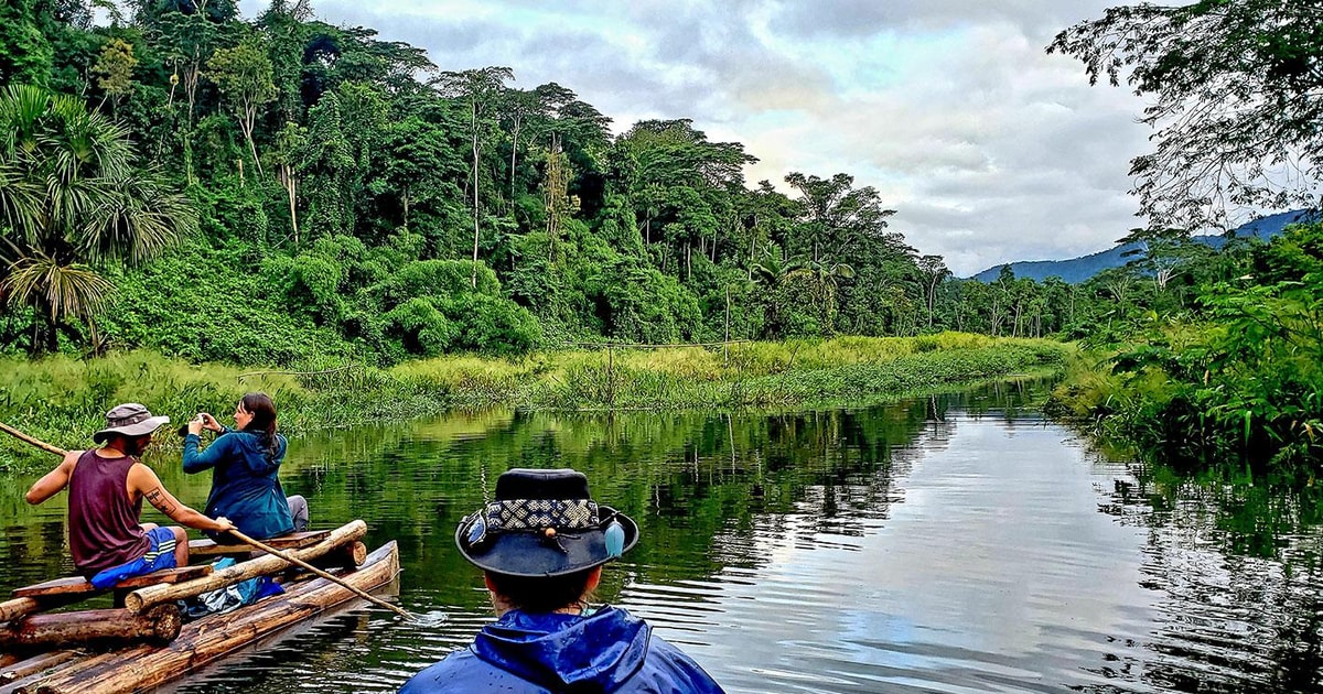 From Cusco | Manu Jungle Excursion 7D/6N | Wonders of Manu | GetYourGuide