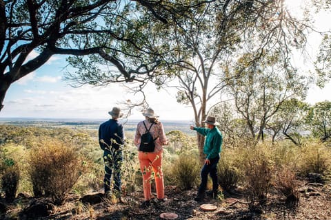 The BEST Roma, Queensland Tours and Things to Do in 2024 - FREE ...