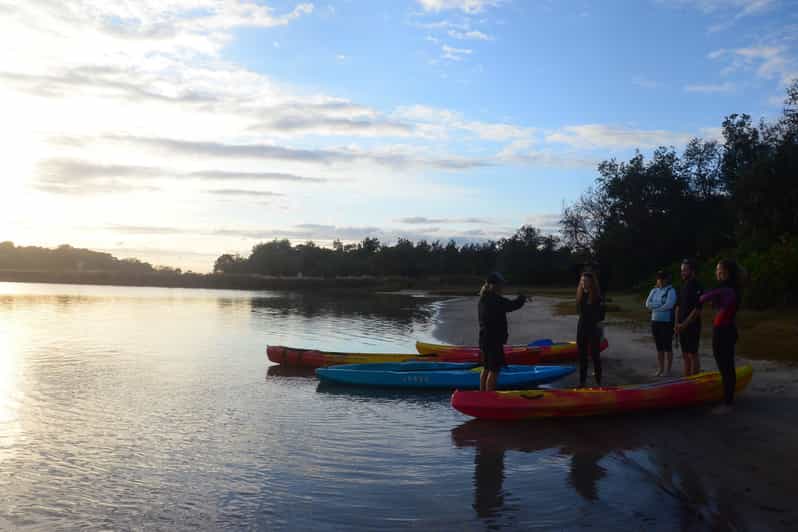 Brunswick Heads: Brunswick River Sunset Kayak Tour | GetYourGuide