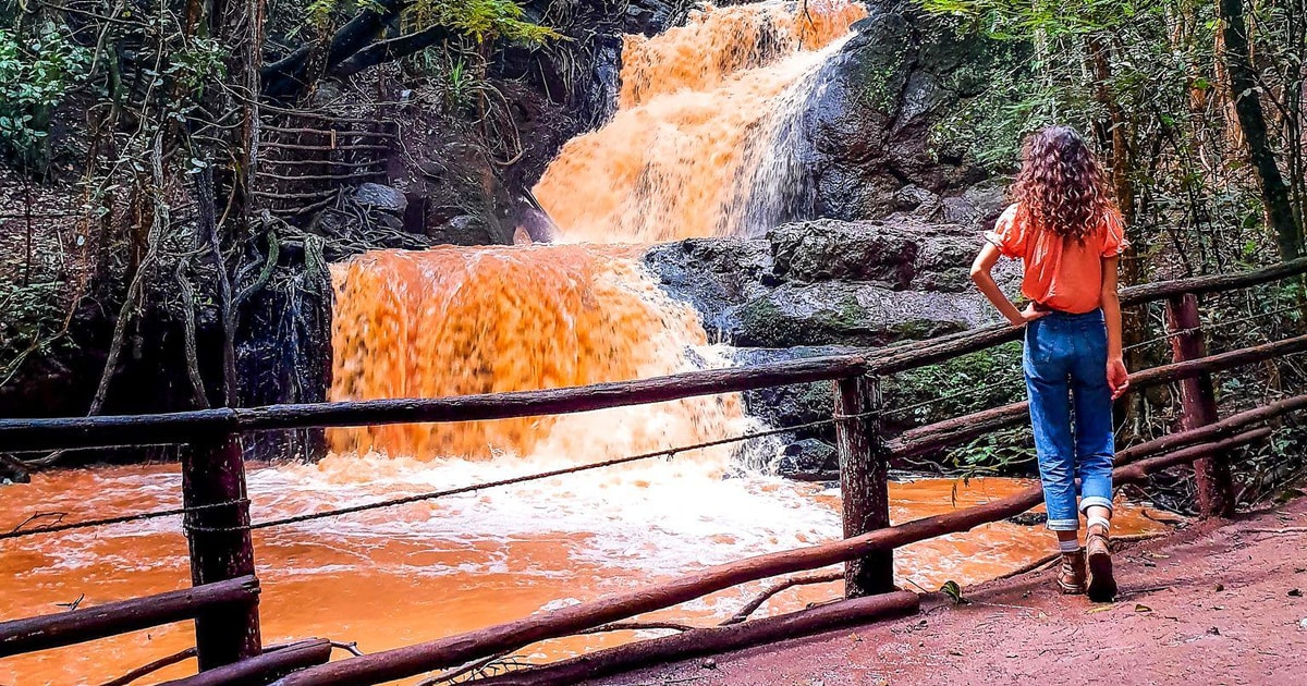 Karura forest A walking tour from Nairobi | GetYourGuide