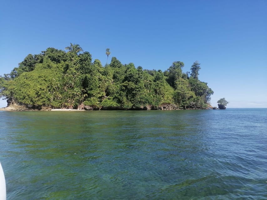 Manzanillo: Dolphin watching and Punta Mona Beach | GetYourGuide