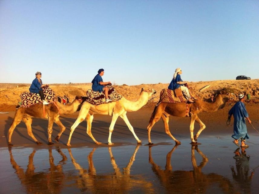 Agadir/Taghazout: Camel & Horse ride on the beach | GetYourGuide