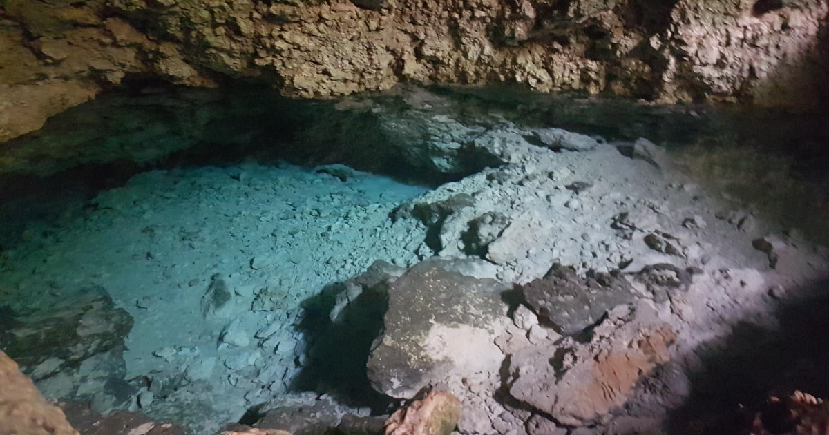 Delphin +Jozani Wald+ Kuza Höhle+The Rock Restaurant & Paje | GetYourGuide