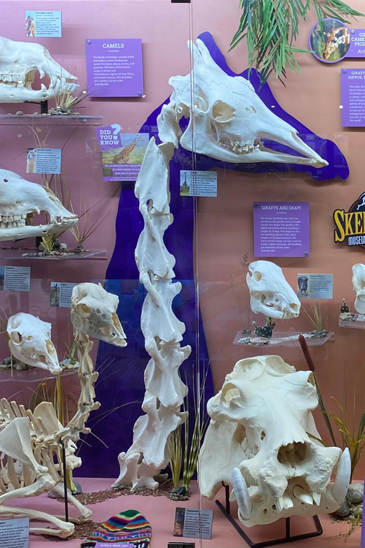 Oklahoma City: SKELETONS: Museum of Osteology Ticket | GetYourGuide
