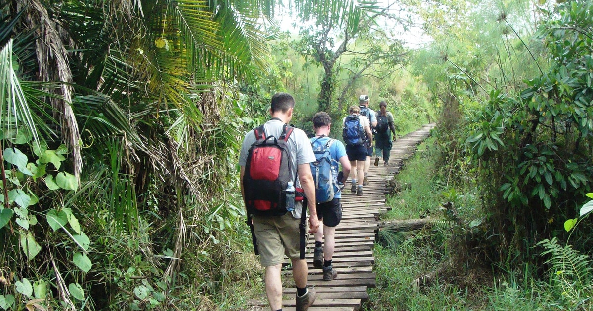 Parco forestale di Kibale: 3 giorni di inseguimento degli scimpanzé e ...