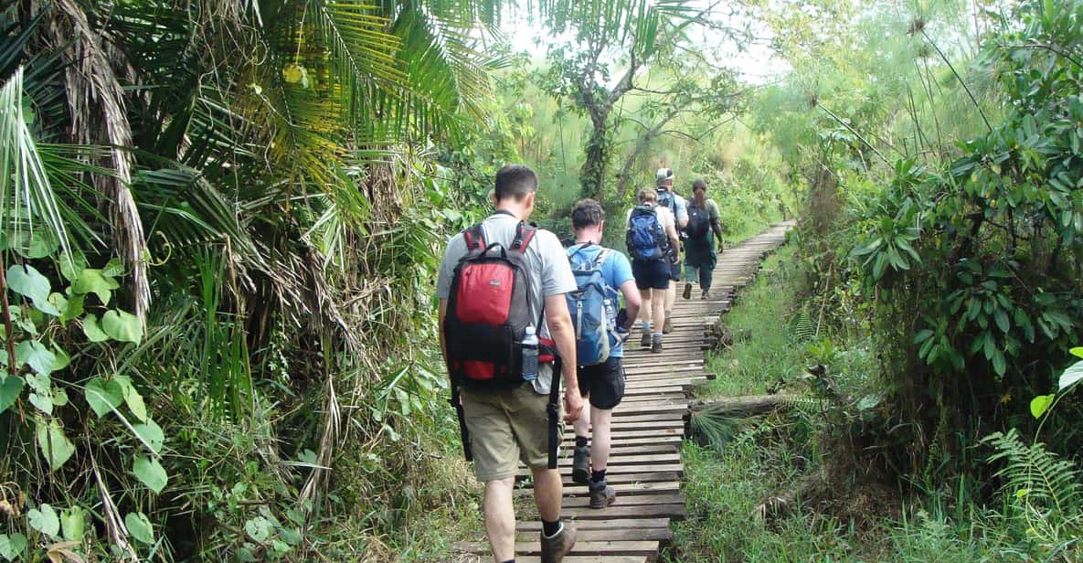 Kibale Forest Park: 3-Day Chimpanzee tracking & Crater lakes | GetYourGuide