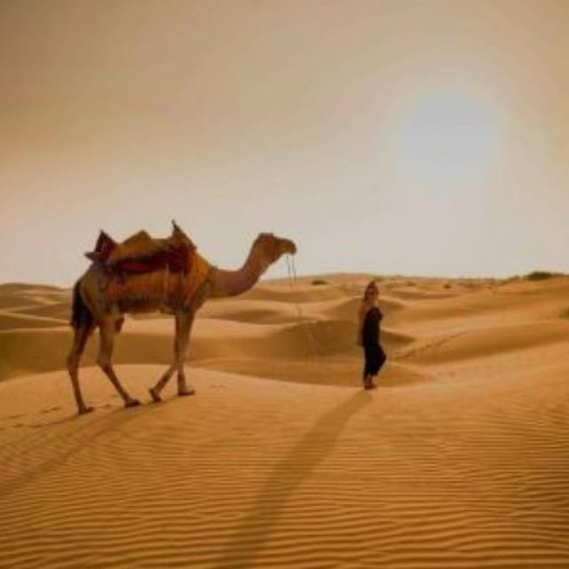 The Real Jodhpur Camel Safari In Desert Wita Marwadi Dinner | GetYourGuide