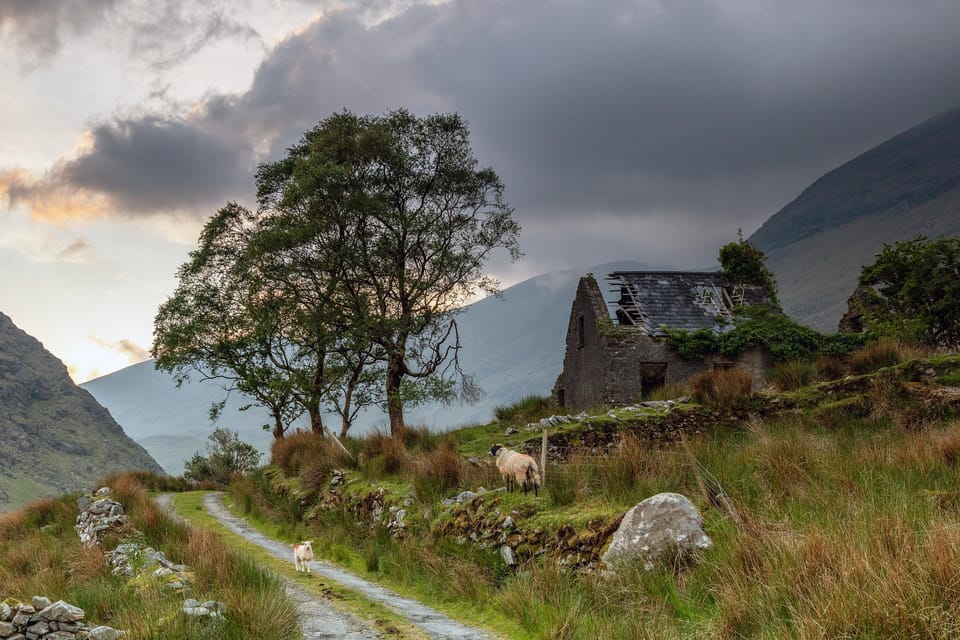Killarney: The Ring of the Reeks - Backroads Rural Tour | GetYourGuide