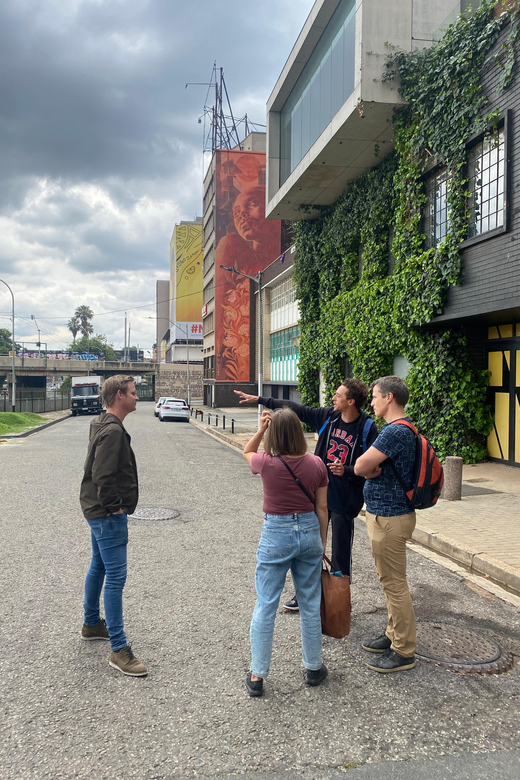 Johannesburg: Braamfontein Street Art & Culture Tour | GetYourGuide