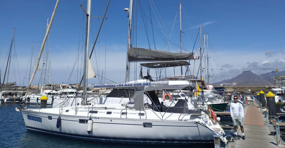 3h Whale Watching Share Tour Beneteau Oceanis 440 | GetYourGuide