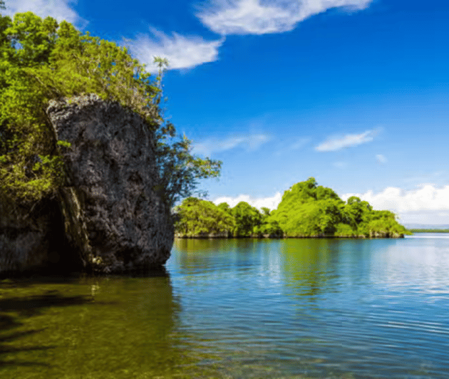 Punta Cana: Tour Samana All Included Cascada Limon whales | GetYourGuide