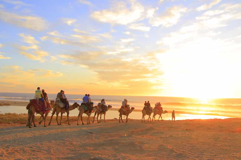 Beach Camel Ride & Encounter in Cabo by Cactus tours park | GetYourGuide
