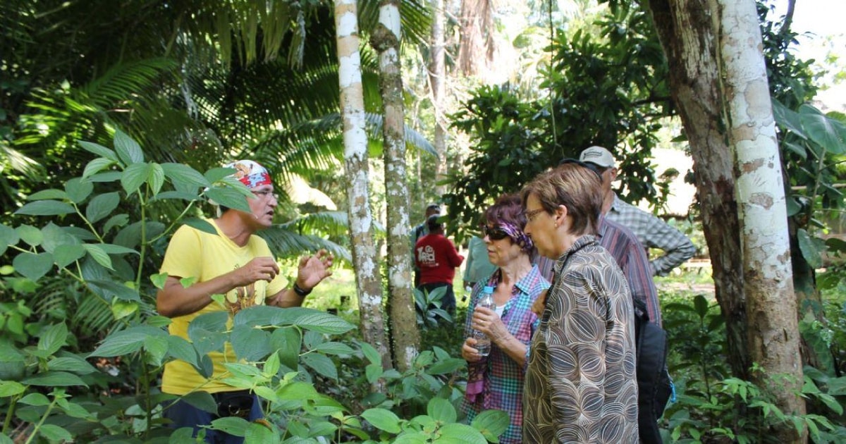 Von Iquitos aus: Pacaya Samiria Wildlife Reserve | GetYourGuide