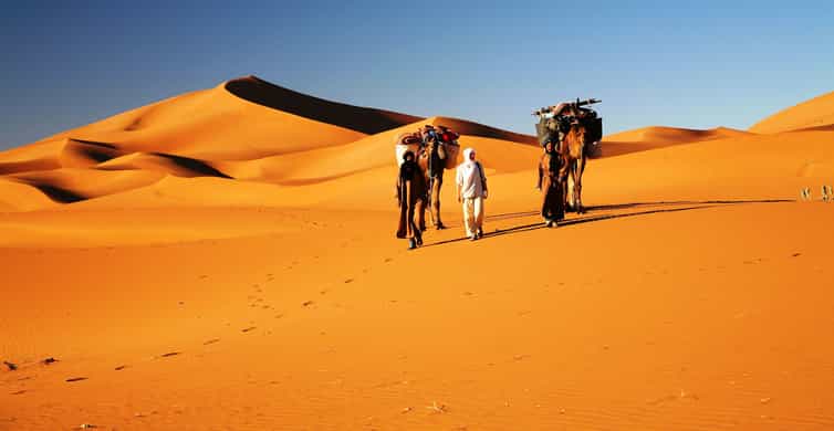 The BEST Fes Tours and Things to Do in 2024 - FREE Cancellation ...