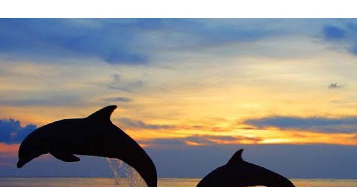 Bali: Excursión privada a los delfines de Lovina y actividades ...