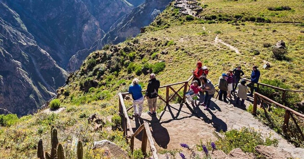 2D Canyon del Colca da Puno | GetYourGuide