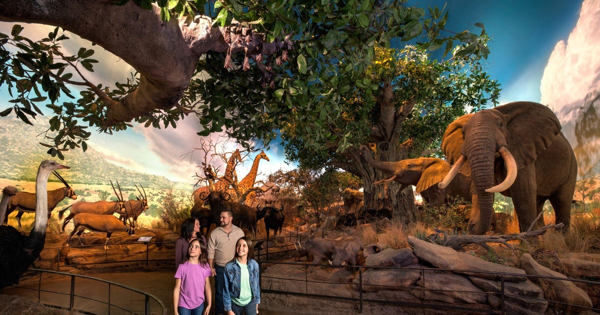 Springfield: Wonders of Wildlife National Museum & Aquarium | GetYourGuide