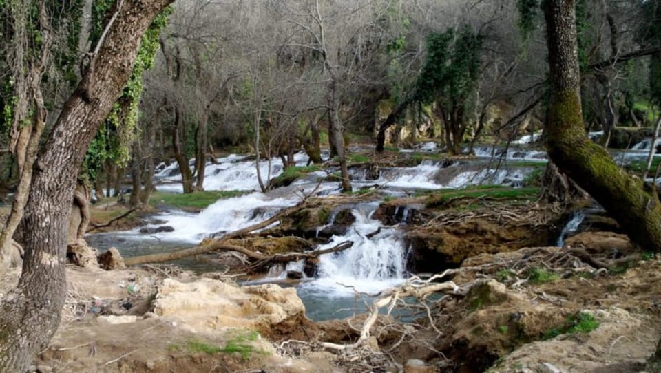 Middle Atlas:Day Trip From Fez To The Middle Atlas Mountains | GetYourGuide