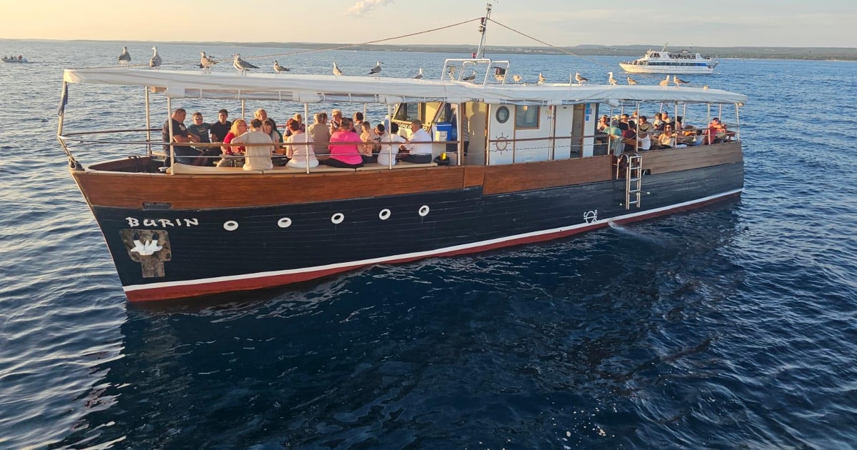 Pula: Brijuni Nationalpark Delphine & Sunset Bootstour | GetYourGuide