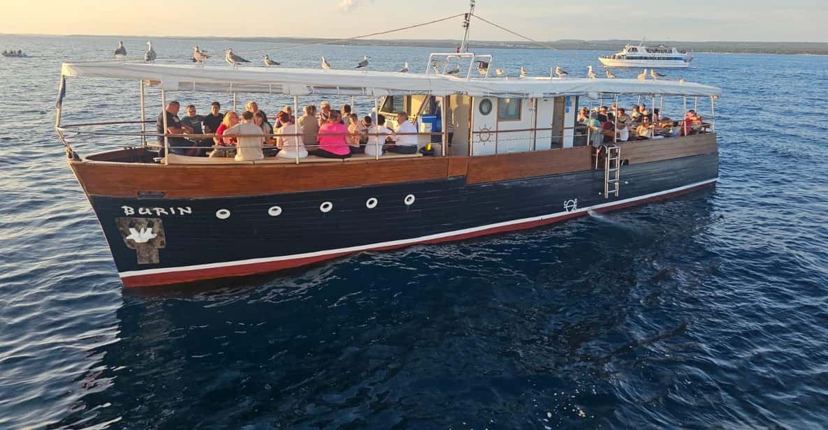 Pula: Parque Nacional Brijuni: passeio de barco com golfinhos e pôr do ...