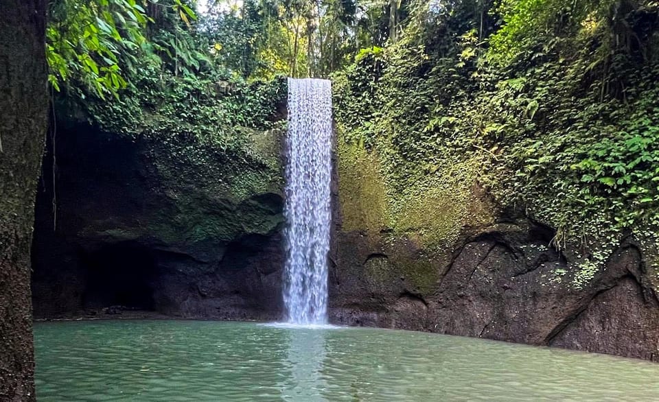Ubud: Waterfall Customized Privat Tour, All Included | GetYourGuide