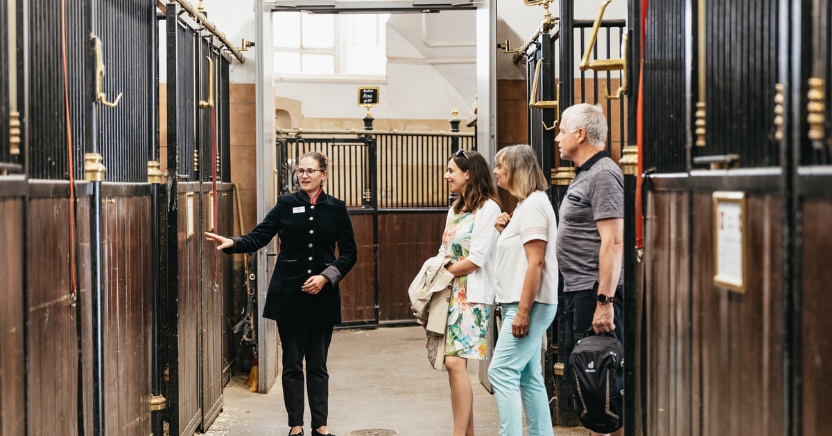 Guidad tur för spanska ridskolan i Wien | GetYourGuide