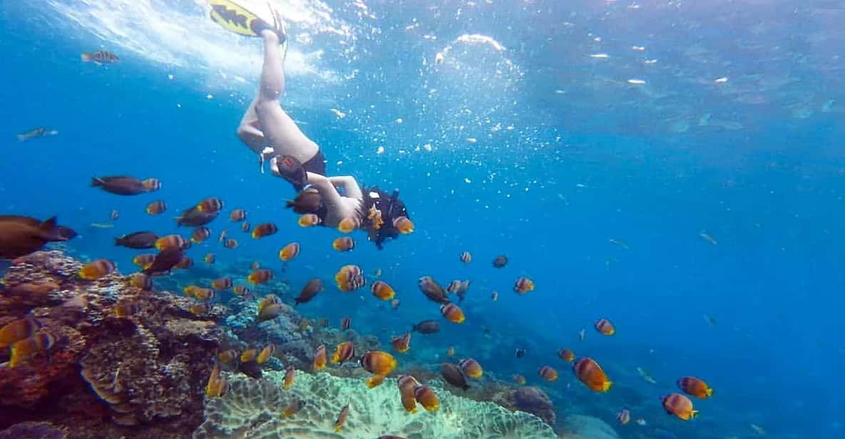 Bali: Entdecke die Schönheit von Nusa Penida Schnorcheln und Insel ...