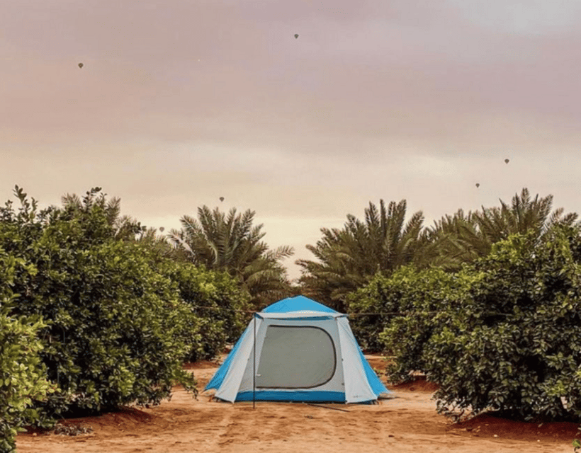 AlUla. Camping at Pangaea Center | GetYourGuide