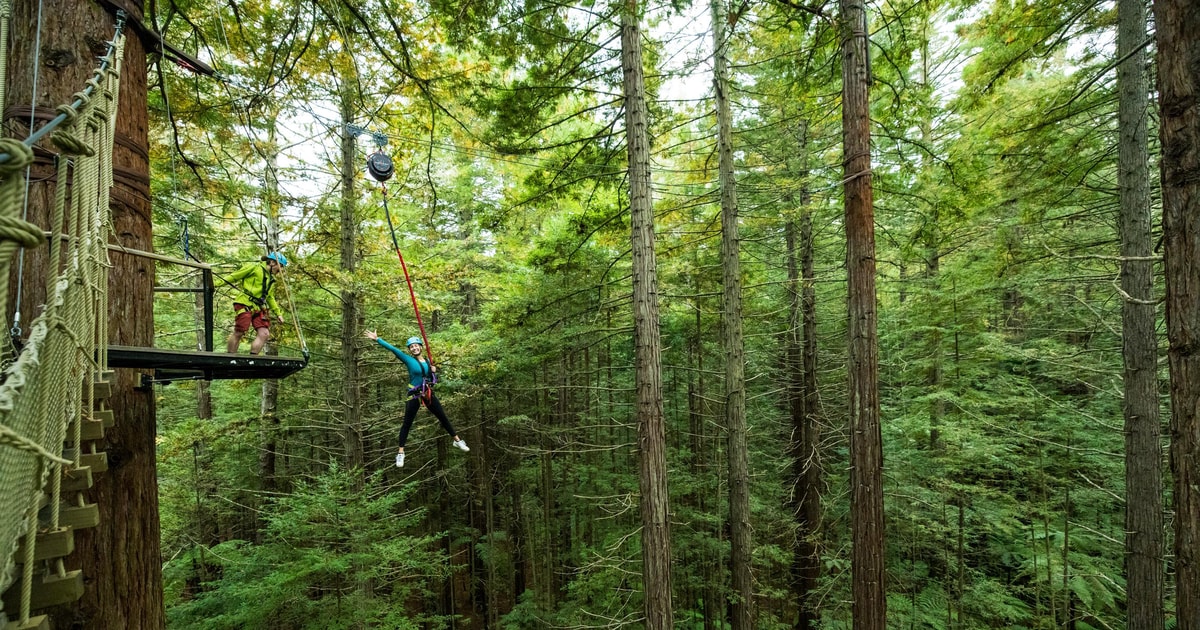 Rotorua: Redwoods Altitude High Ropes Adventure | GetYourGuide